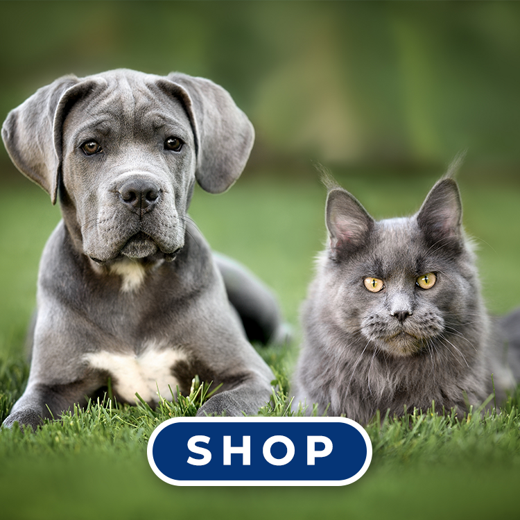 SecuLife® Safety Alerting & GPS Tracking Devices – Shop.SecuLife.us